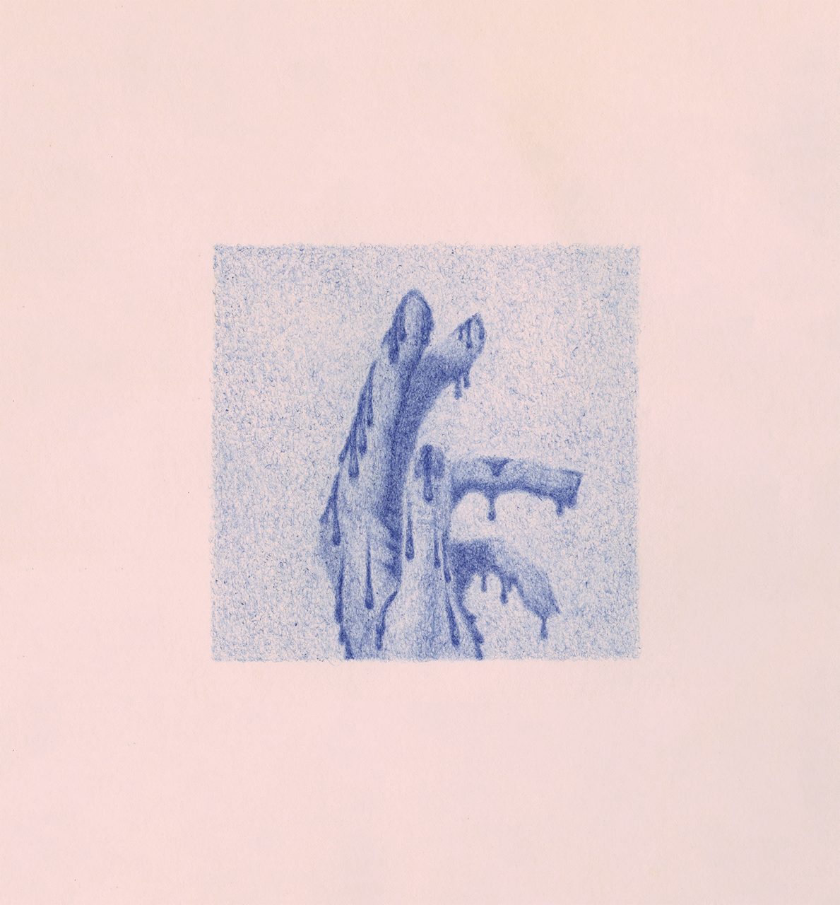 Galápagos | Fátima Vélez